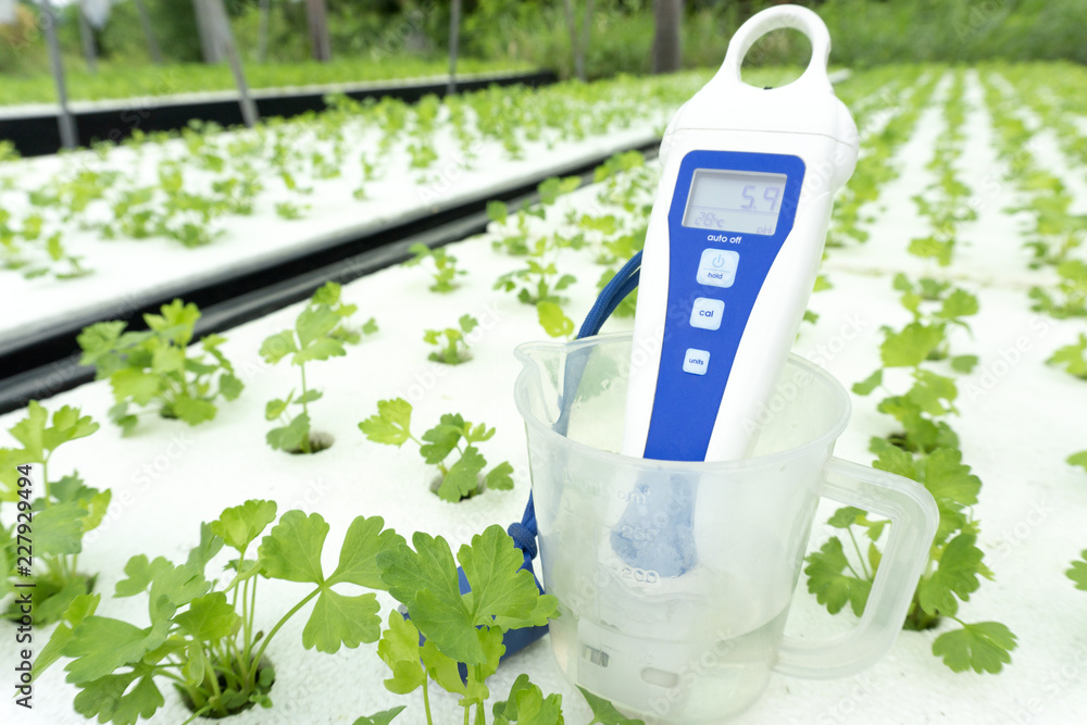 water, alkaline, tester, ph, digital, meter, analysis, kit, Digital pH ...