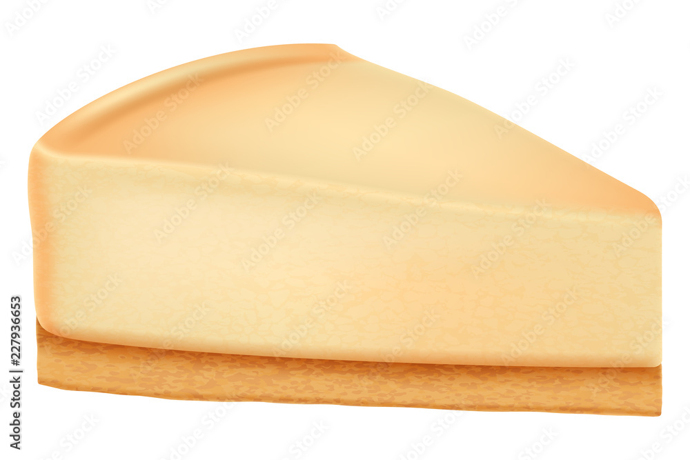 Piece of New York cheesecake or classic cheesecake. Vector illustration ...