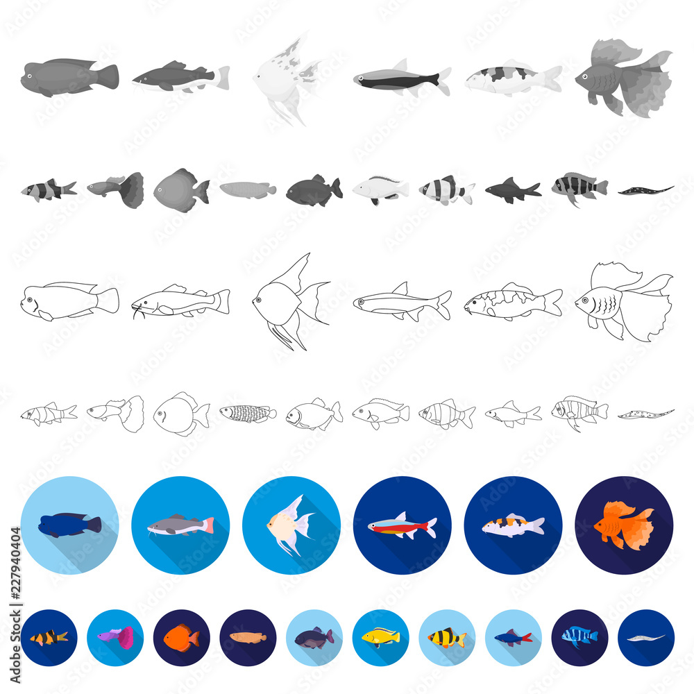 Different types of fish flat icons in set collection for design. Marine ...