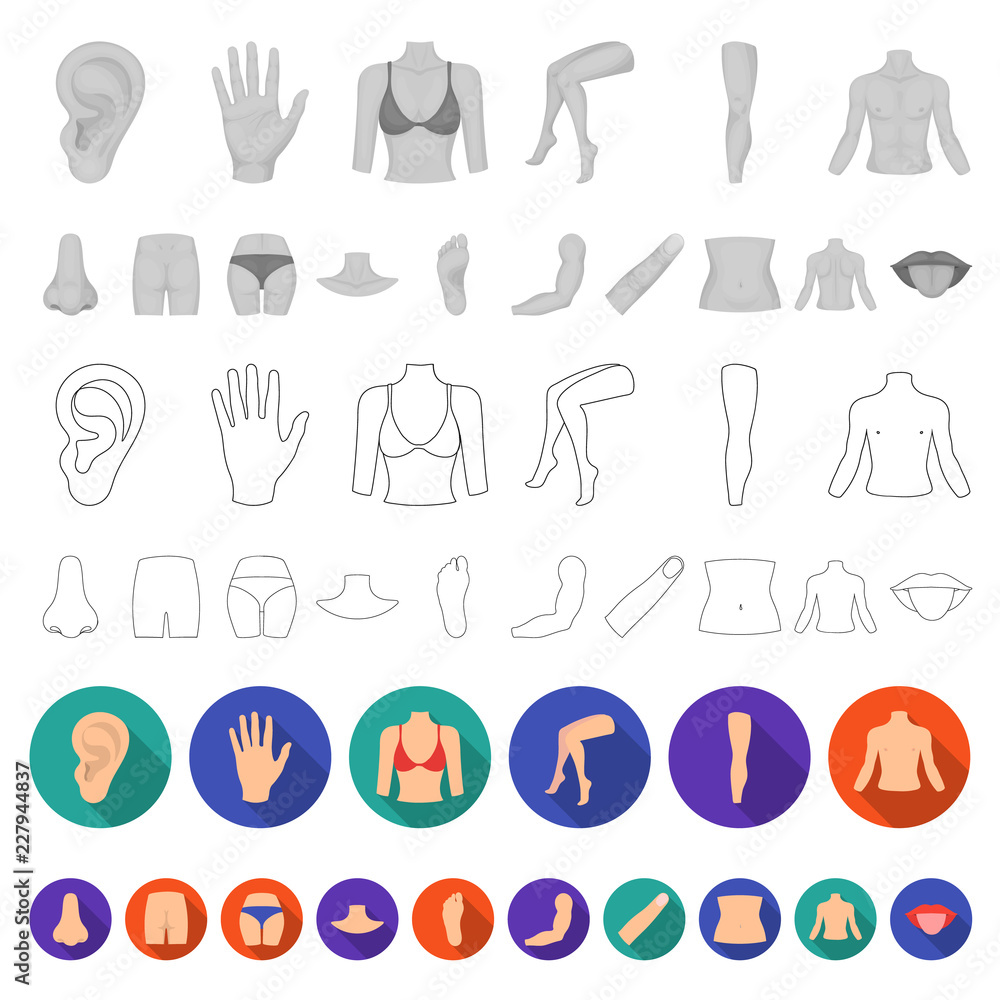 Part of the body, limb flat icons in set collection for design. Human ...