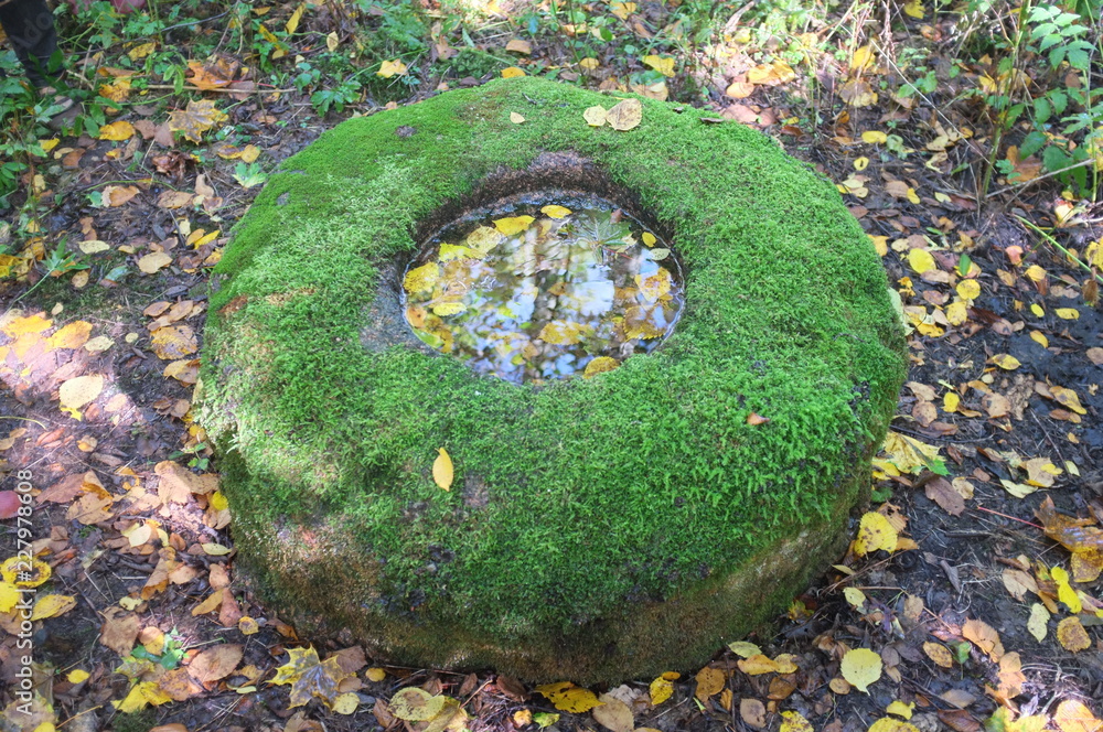 Sacred pagan stone - altar in ancient Lithuanian wood Stock Photo ...