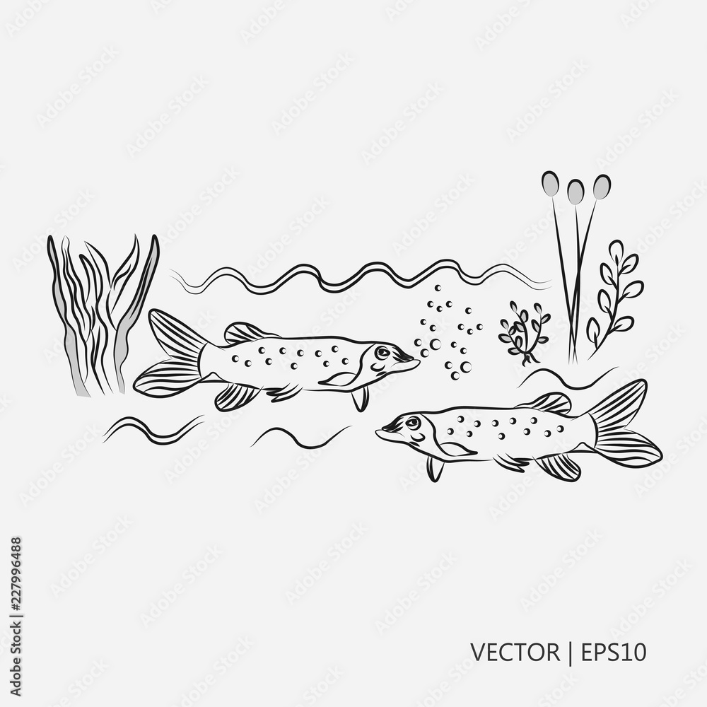 River With Fish Coloring Page