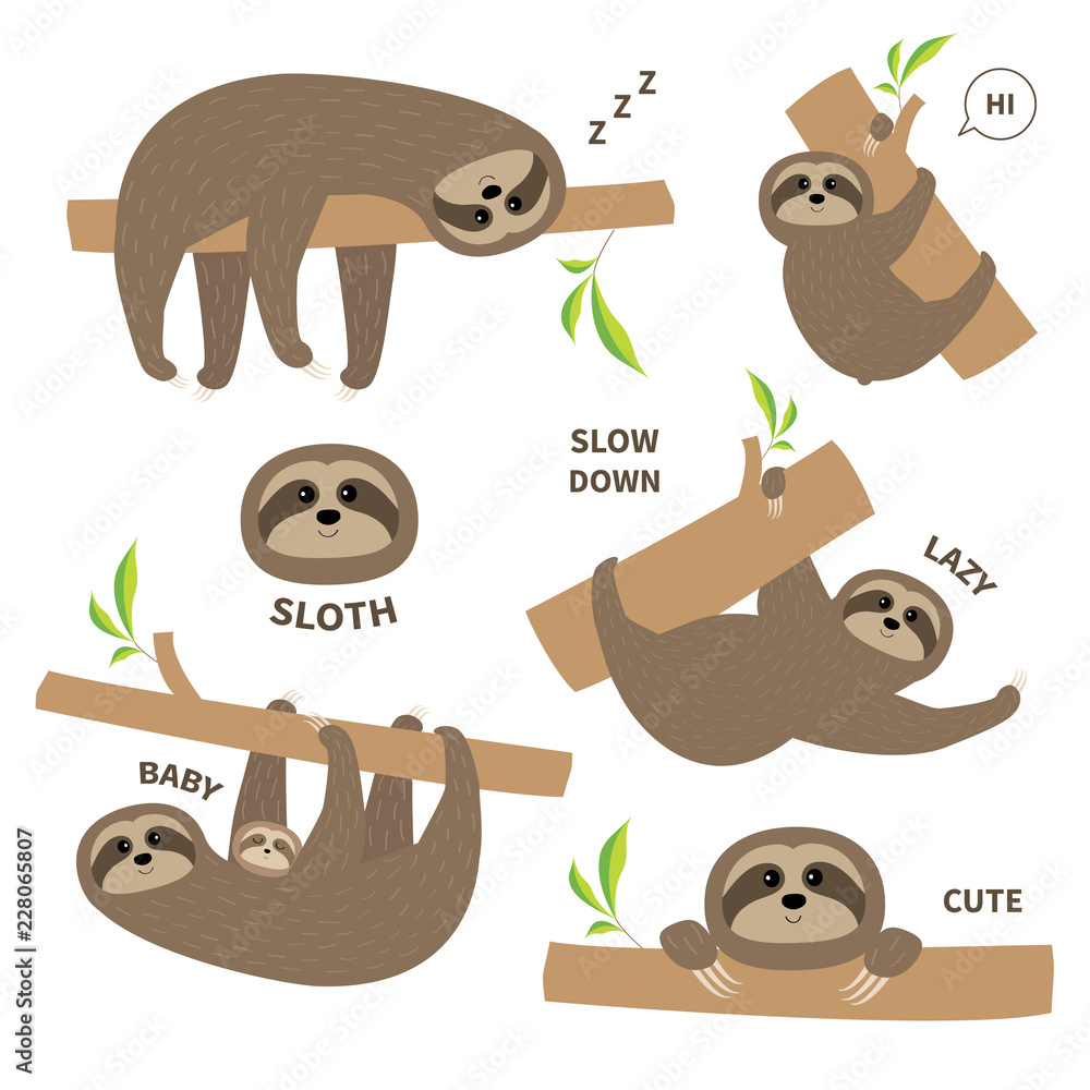 Sloth set mother with baby. Cute lazy cartoon kawaii character. Fluffy ...
