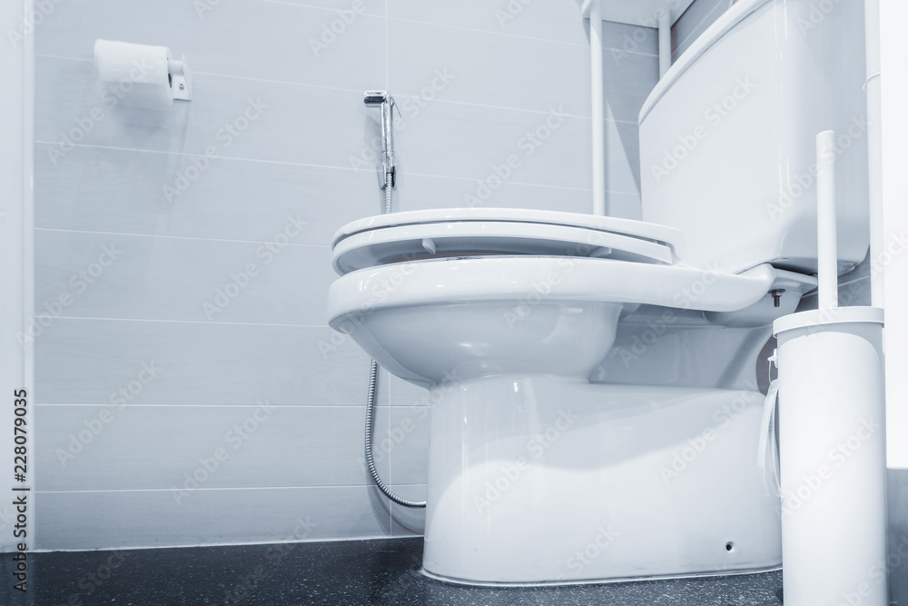 Realistic Toilet Bowl and Modern Architecture of Interior Resting Room ...