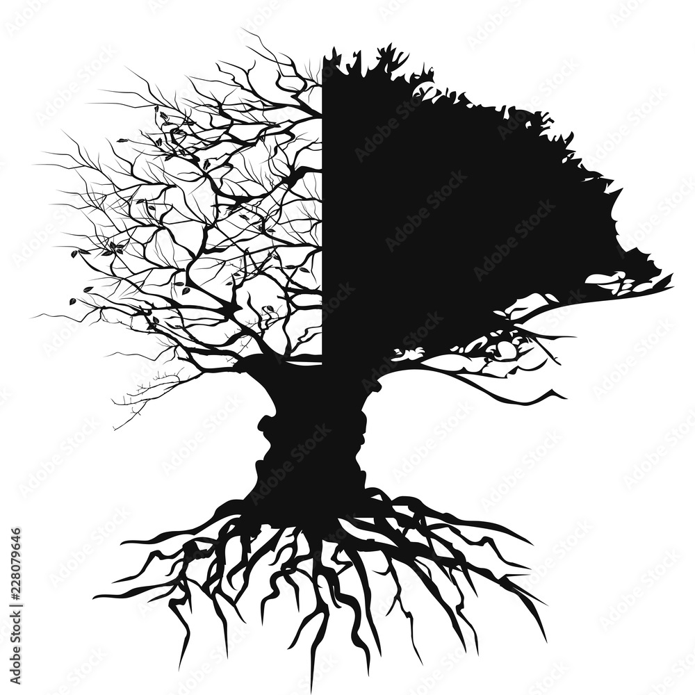 half branch half leaves tree with root vector Stock Vector | Adobe Stock