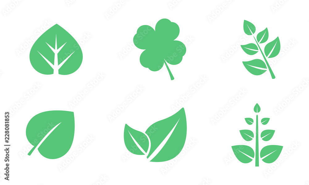 Green leaves set, various shapes of leaves of trees and plants vector ...