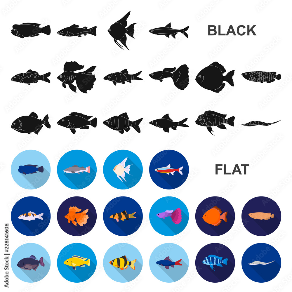 Different types of fish flat icons in set collection for design. Marine ...