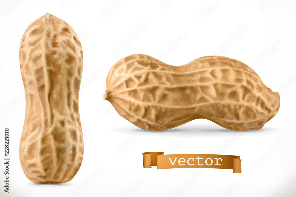 Peanut. 3d vector realistic icon Stock Vector | Adobe Stock