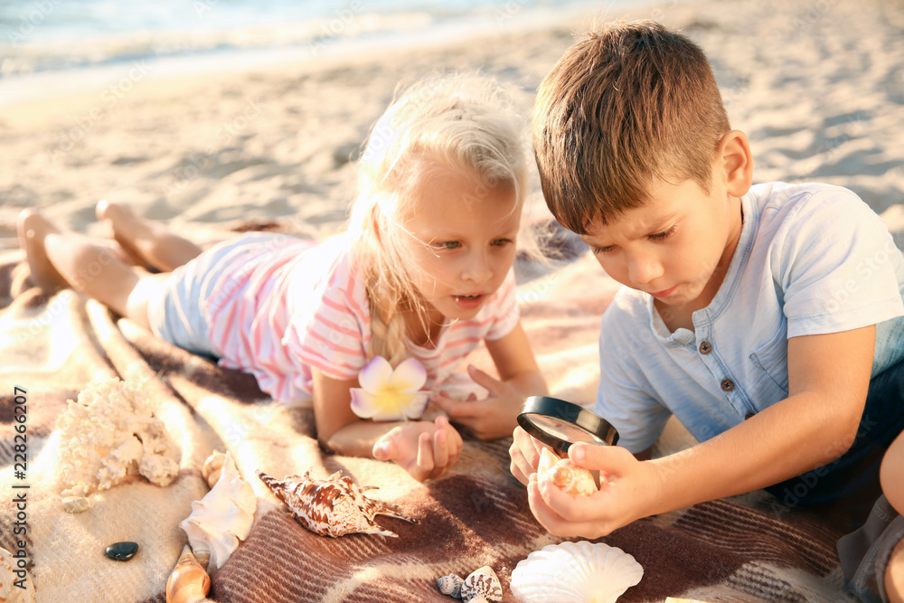 Cute little children looking at sea shells through magnifying glass on ...