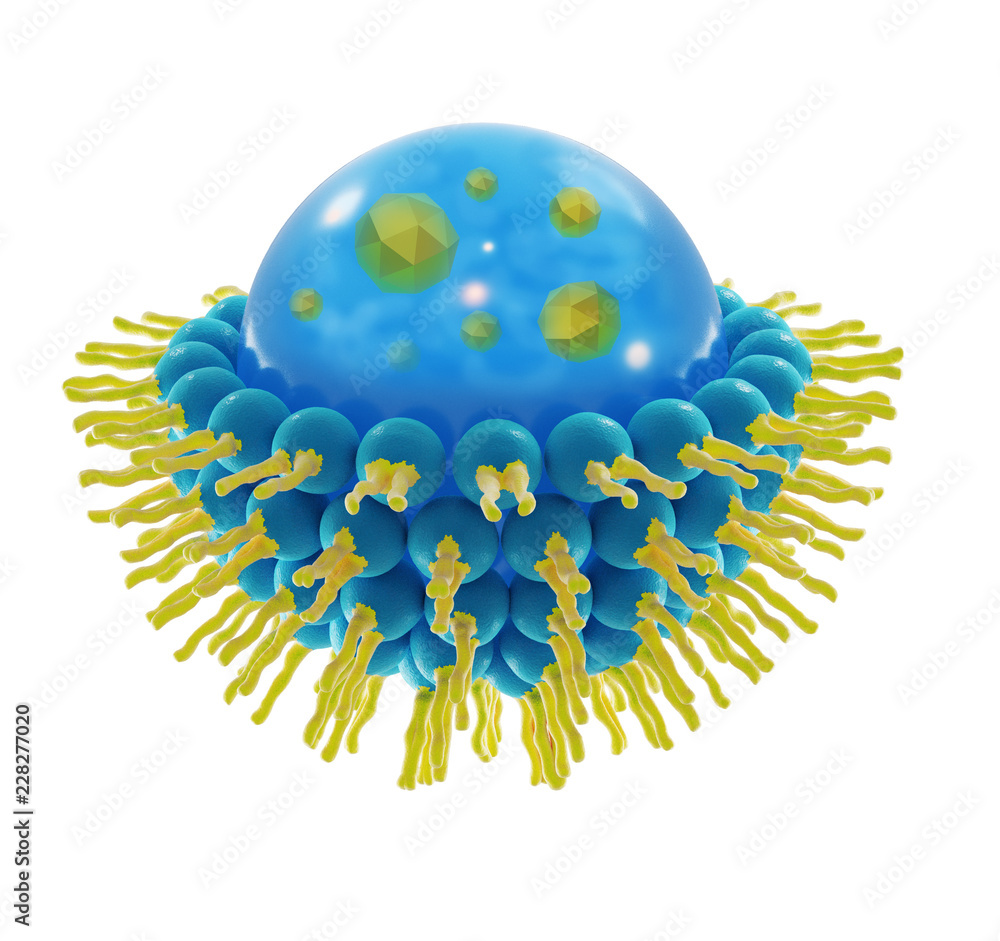 Liposome structure cell 3D rendering Stock Photo | Adobe Stock