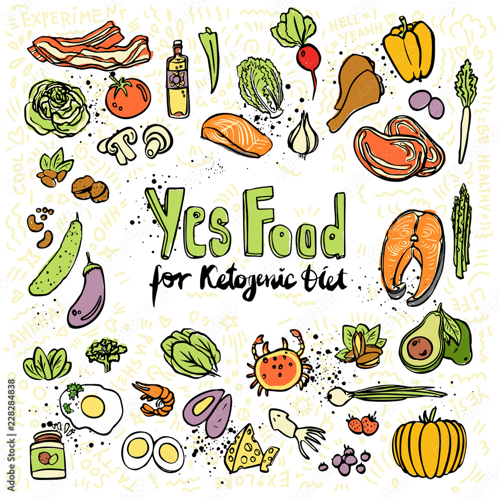 Ketogenic vector sketch illustration. Healthy keto food with texture ...