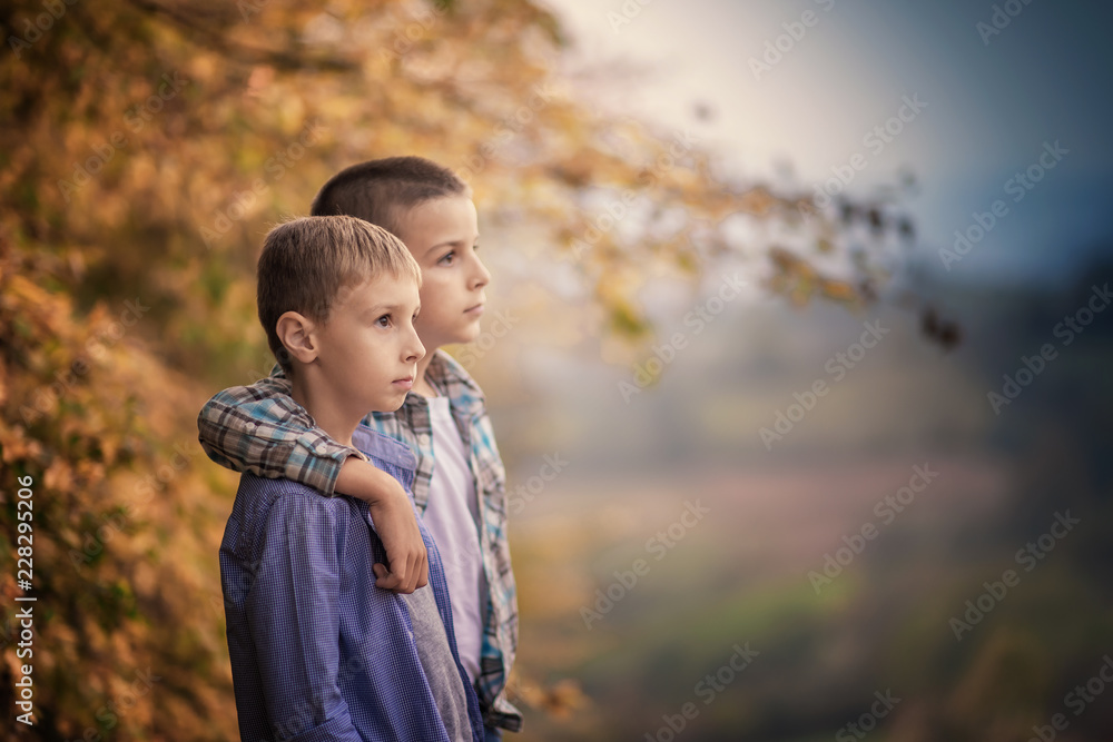 two boys are hugged Stock Photo | Adobe Stock