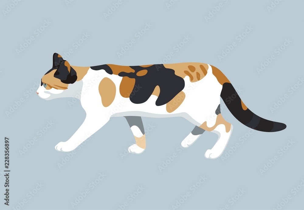Walking Kitty Cat Clip Art
