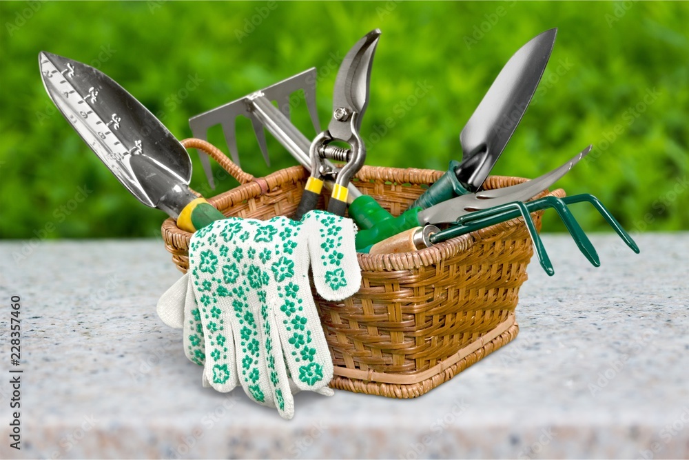 Group of Gardening tools on background Stock Photo | Adobe Stock