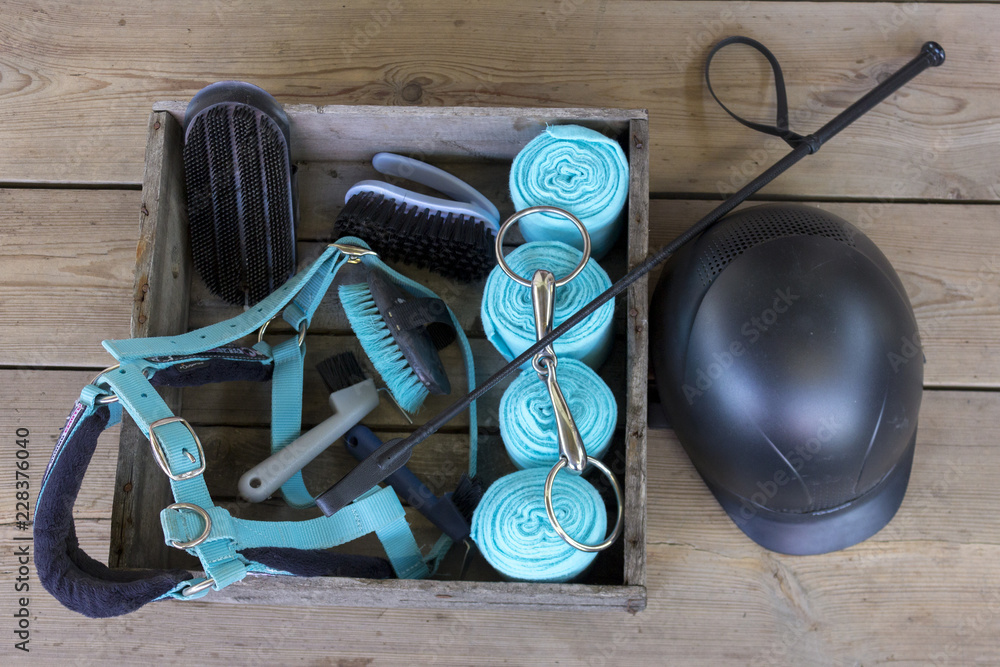 Fotka „Equipment for horse care and riding: brushes of various sizes ...