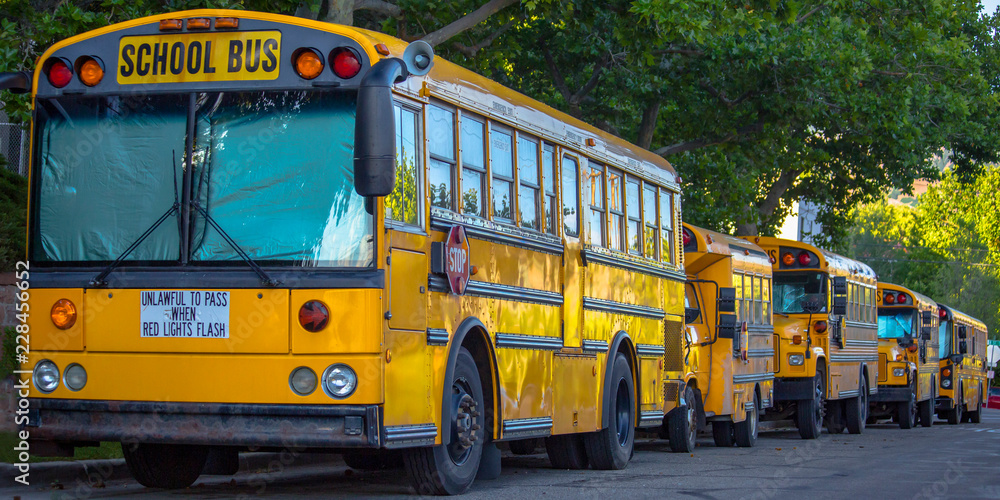 School buses parked under the canopies of trees Stock Photo | Adobe Stock