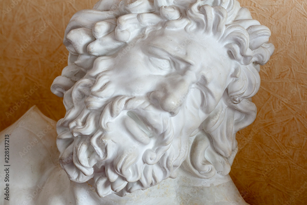 Laocoon Head