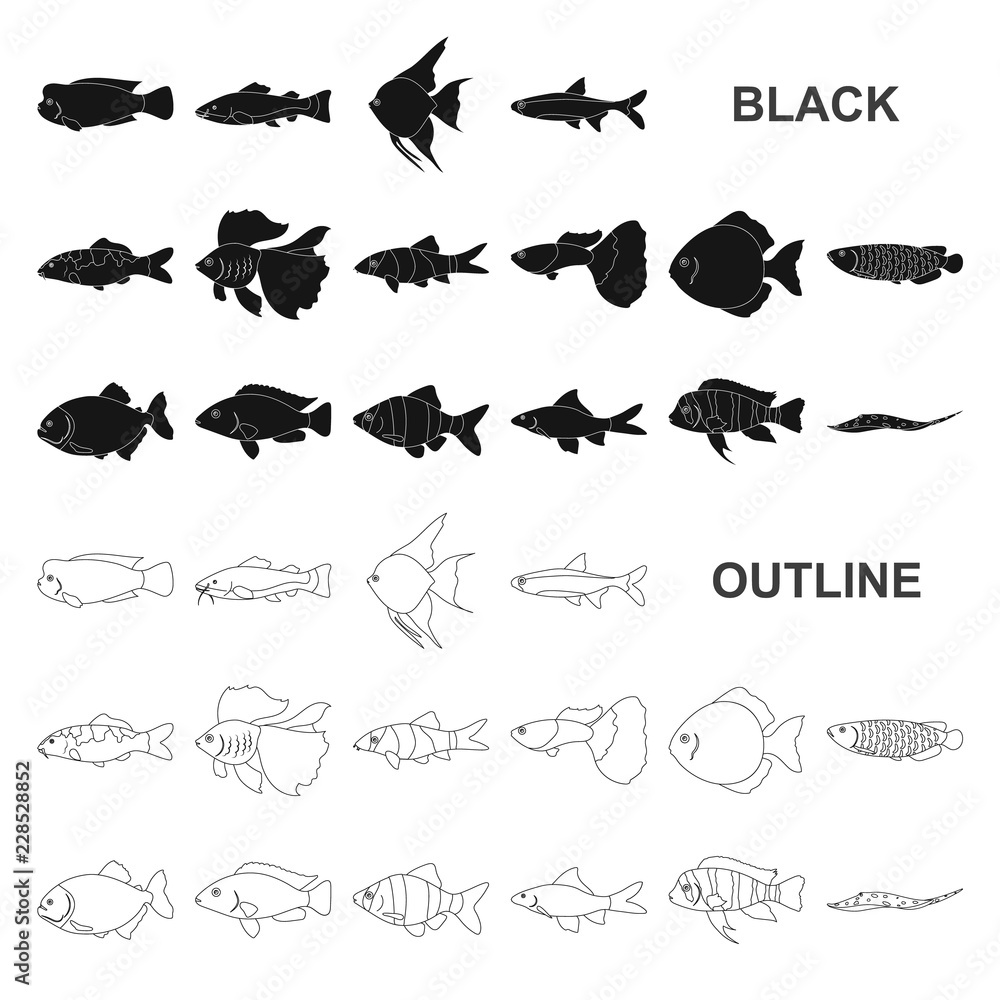 Different types of fish black icons in set collection for design ...