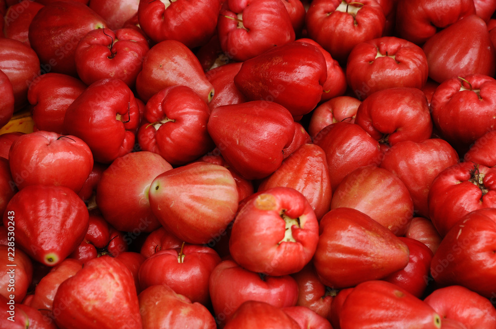 Jambu Air Or The Scientific Name Is Syzygium Aqueum Also Known As Water Cherry Or Water Rose