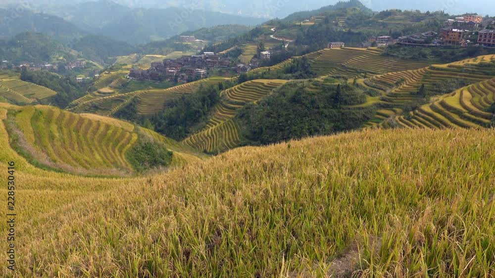 Longsheng ( Longji ) Rice Terraces Fields, Guangxi, China Stock Video ...