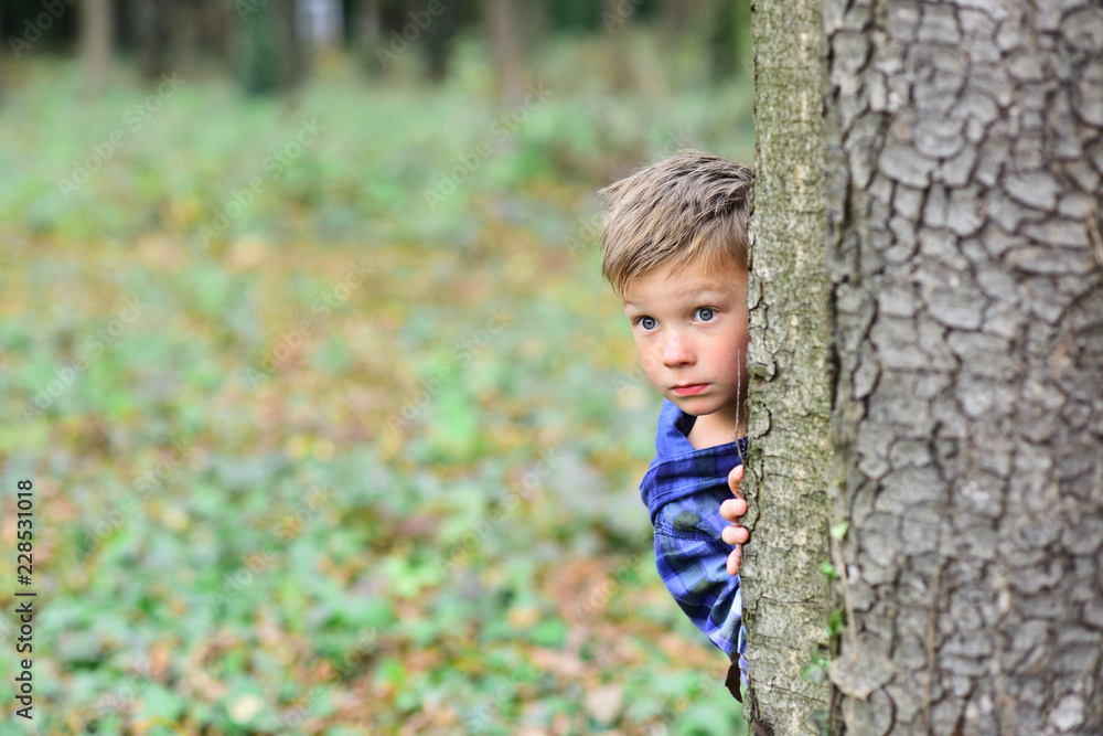 Its a little scary. Little boy hide behind tree. Small boy in scary ...