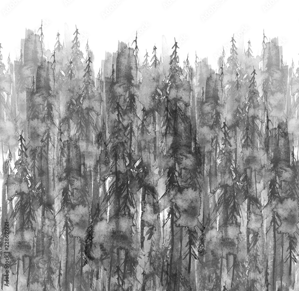Watercolor group of trees - fir, pine, cedar, fir-tree. black and white ...