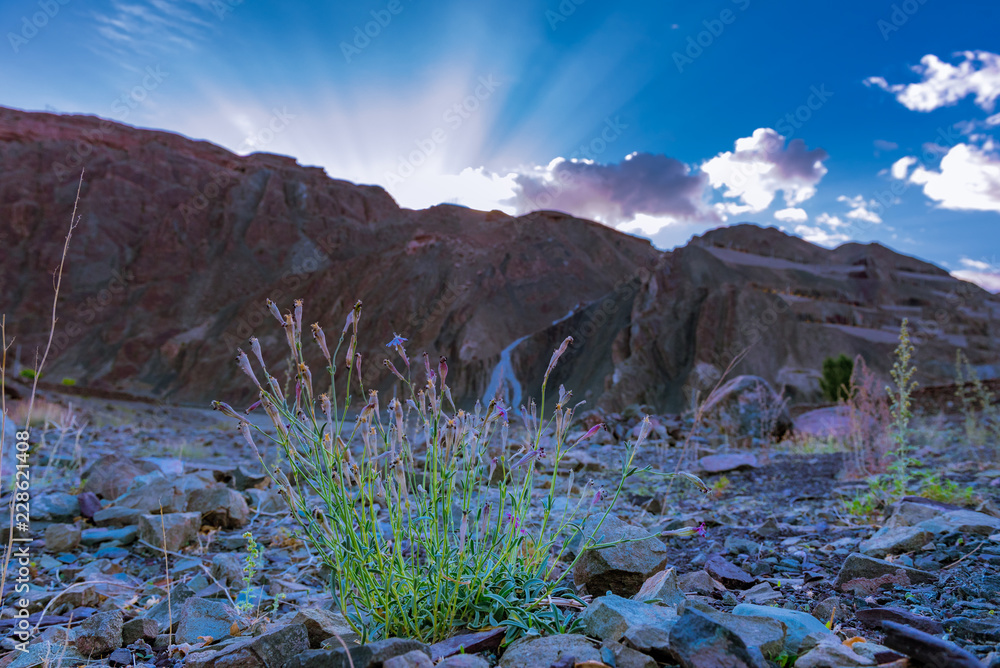 Beautiful natural landscape with mountains and Indus river at Alchi ...