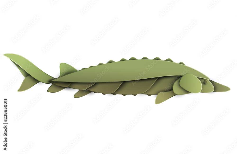 Cartoon fish sturgeon in trendy paper cut craft graphic style. Modern ...