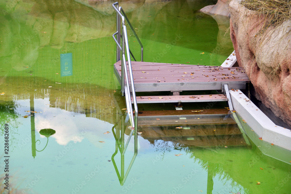 una scaletta in legno con gradini si immerge nelle acque di un laghetto ...