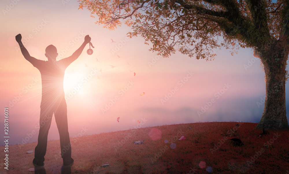 Winner concept: Silhouette champion hand holding gold medal against ...