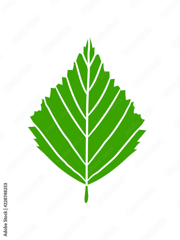 umriss birke blatt baum pflanze form clipart design wald grün blätter ...