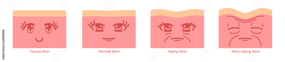 young skin and ageing skin with cartoon face vector 素材庫向量圖 | Adobe Stock
