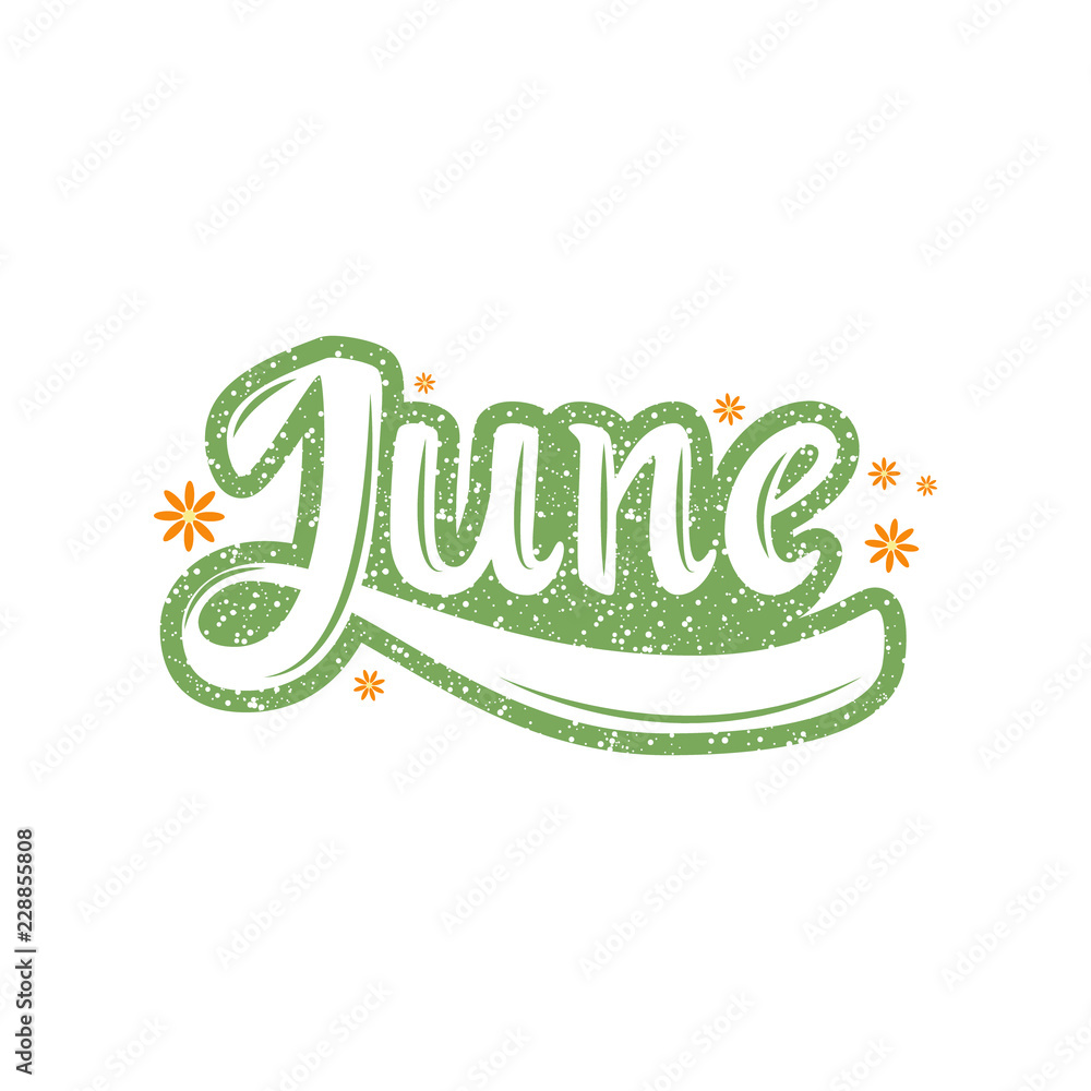 June. Name of the month. Handwritten Lettering. Text. Modern ...