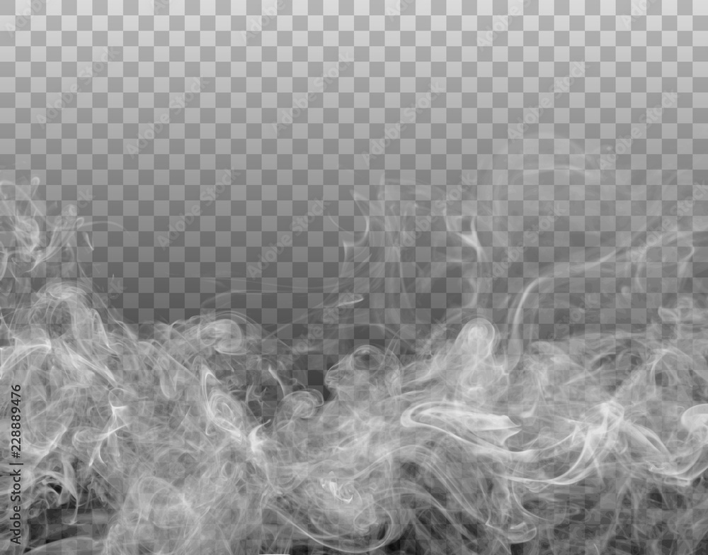 Vector realistic smoke on the transparent background. Stock Vector ...
