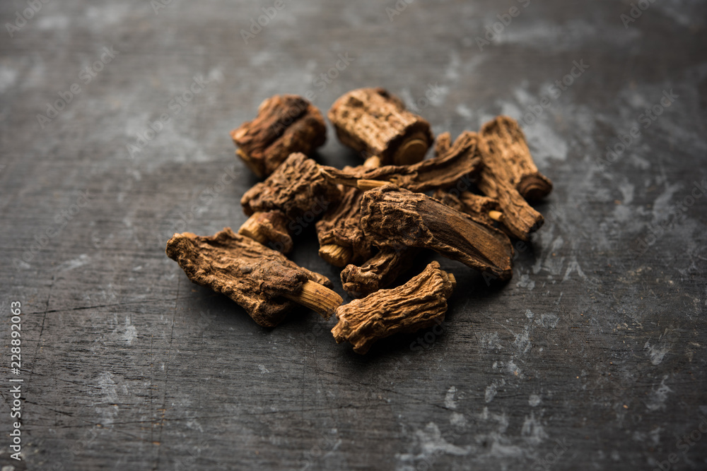 Hemidesmus indicus also known as Ananthamoola or Naruneendi or Nannari ...