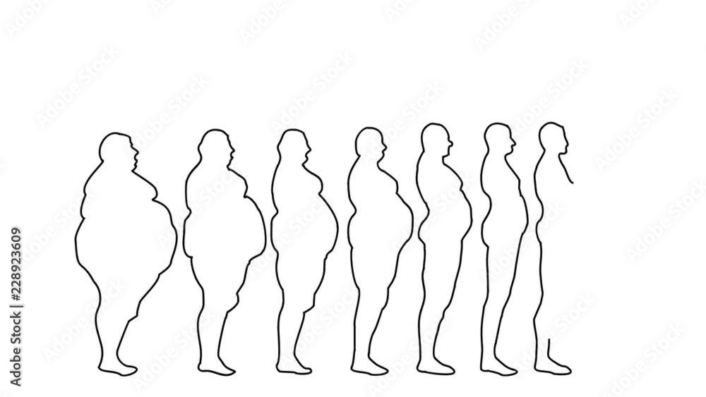 Animated sketch vector self drawing doodle progressive timeline ...
