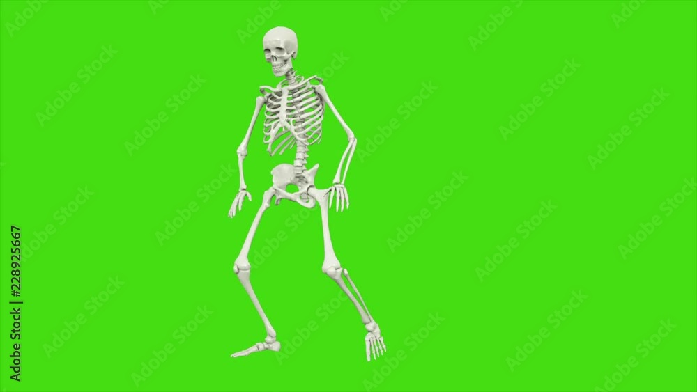 Skeleton dancing. Seamless loop animation on green screen. Stock Video ...