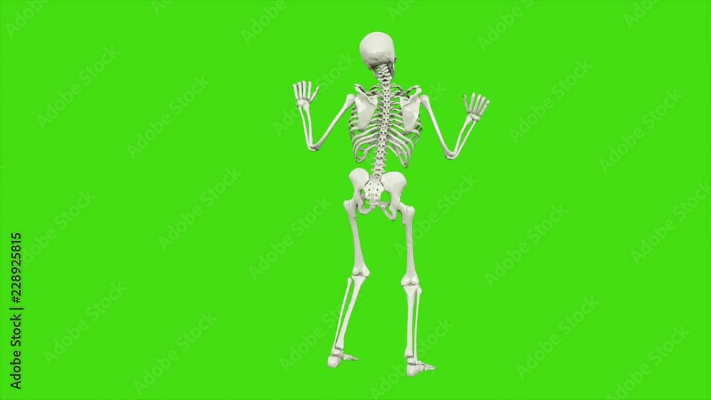 Skeleton dancing. Seamless loop animation on green screen. Stock Video ...