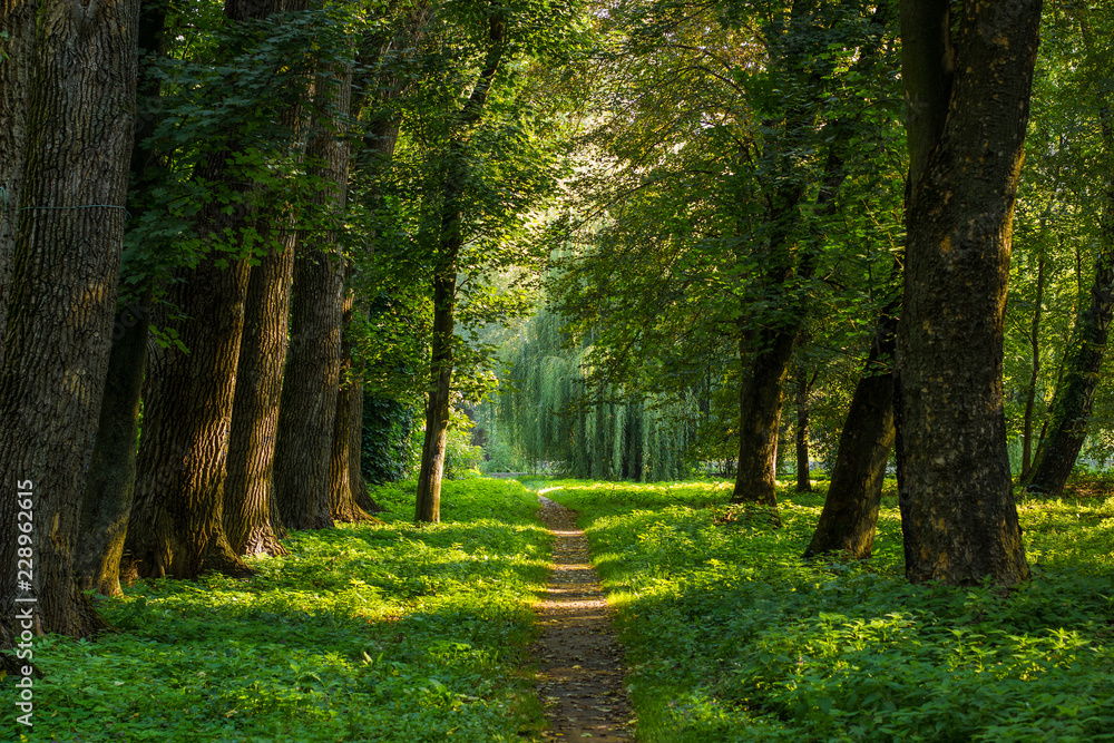 Stockfoto med beskrivningen beautiful fairy tale scenic landscape ...