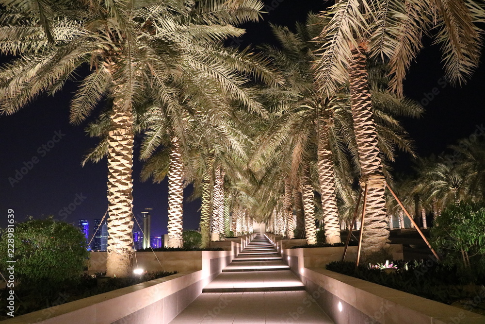 Night at Palm trees way to Doha Museum of Islamic Art in Emirate of ...
