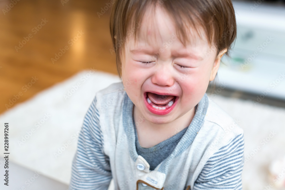 Upset toddler boy screaming and crying in his house Stock Photo | Adobe ...