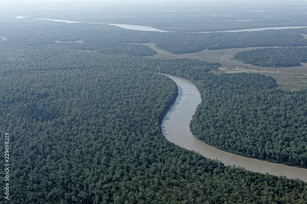 Vue aérienne forêt et rivière Montsinéry en Guyane française. Stock ... Vue aérienne forêt et rivière Montsinéry en Guyane française. Stock ...
