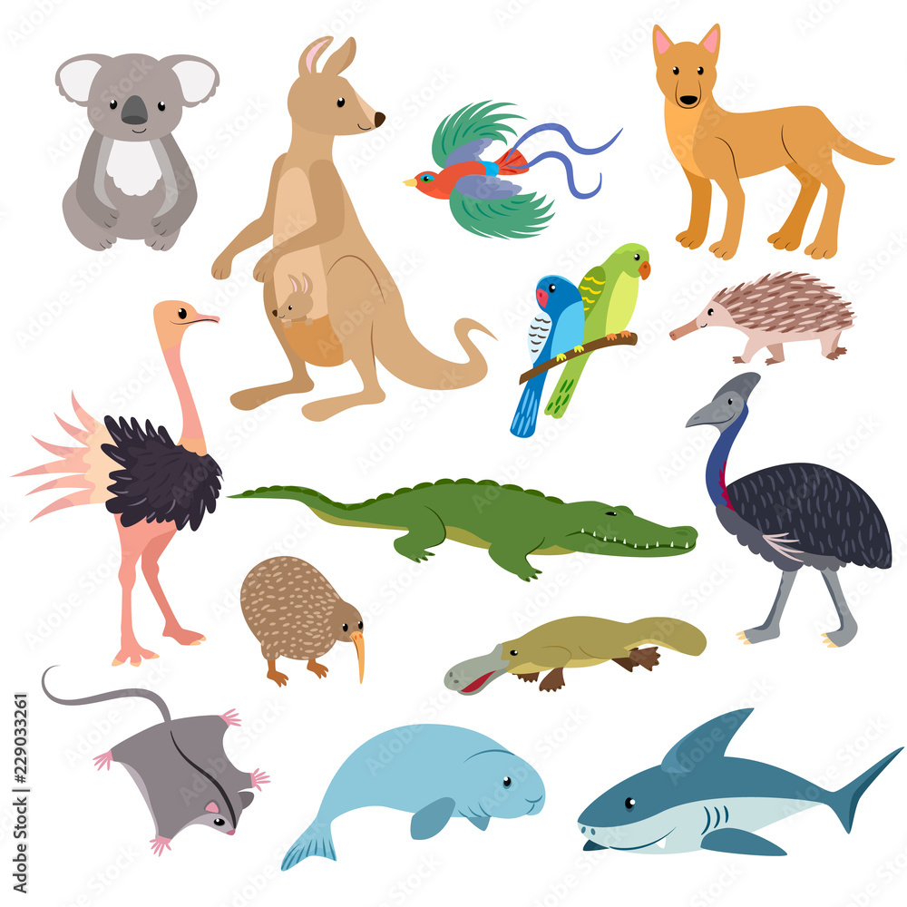 Australian animals vector animalistic character in wildlife Australia ...