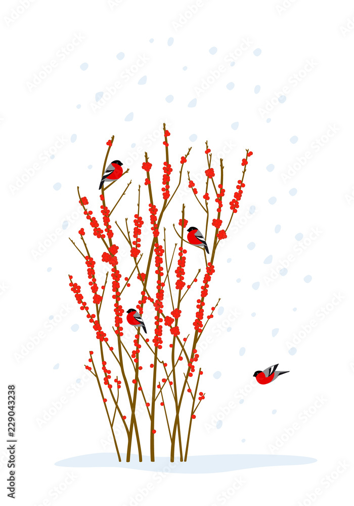 Berry Bush Drawing