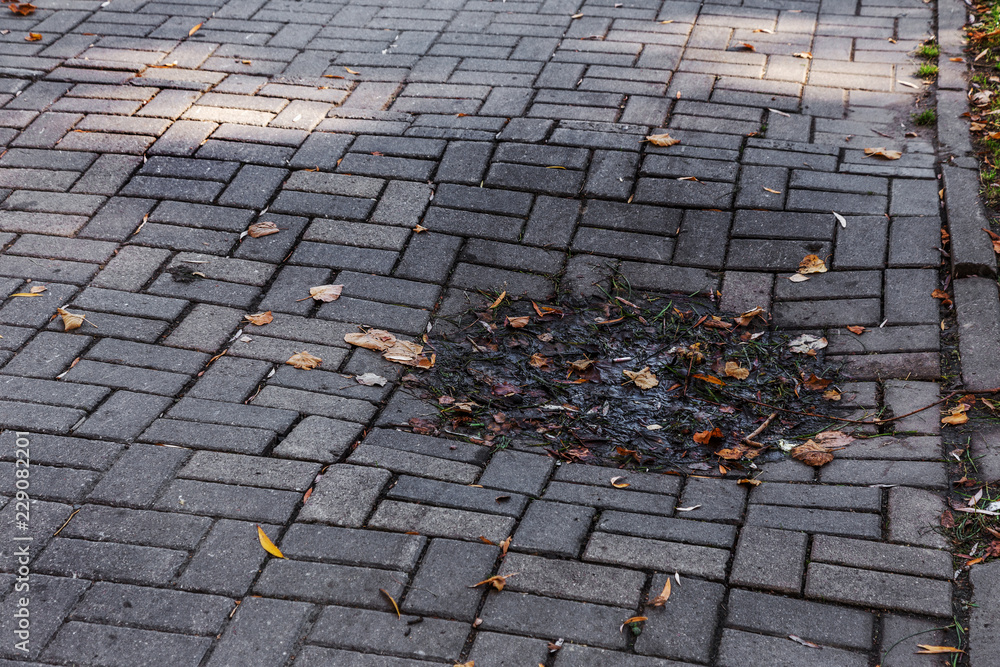 Damaged asphalt road with potholes, caused by freeze-thaw cycles in ...