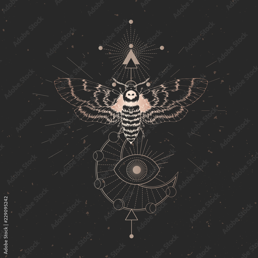 Vector illustration with hand drawn dead head moth and Sacred geometric ...