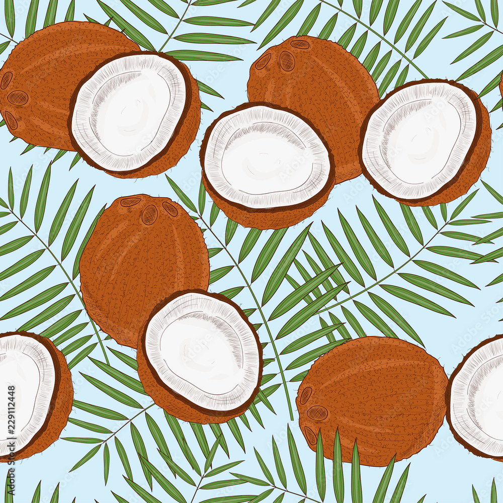 Coconut. Background, wallpaper, seamless. Sketch. Tropical Fruit. Color ...