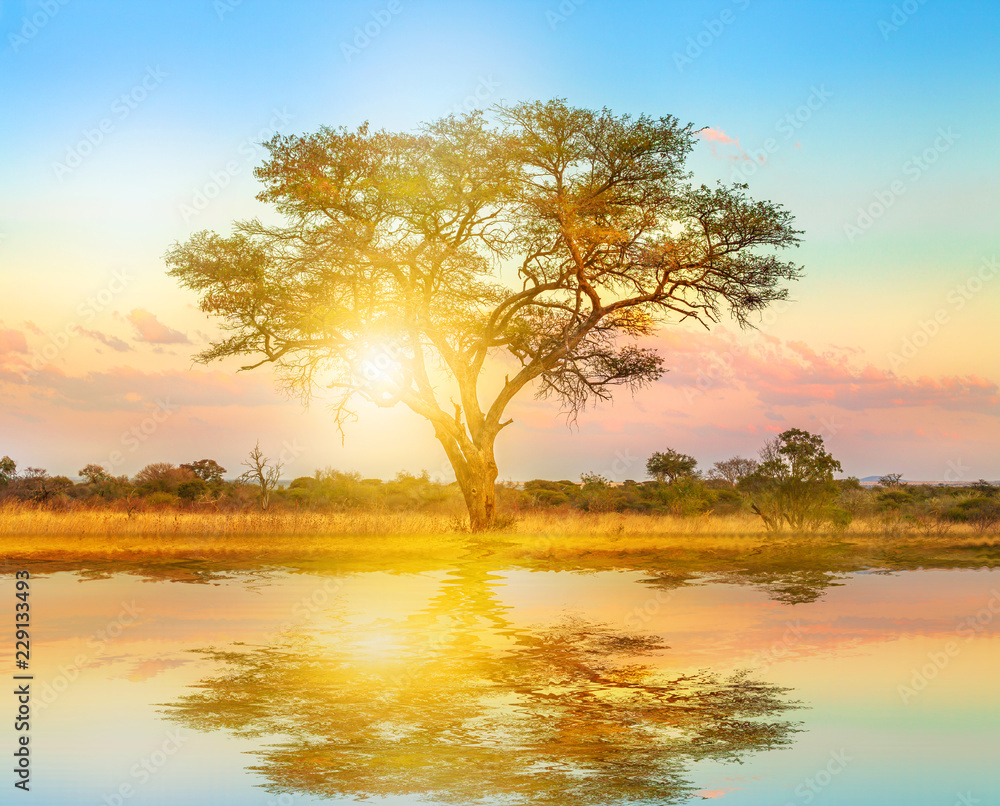 African Water Ponds