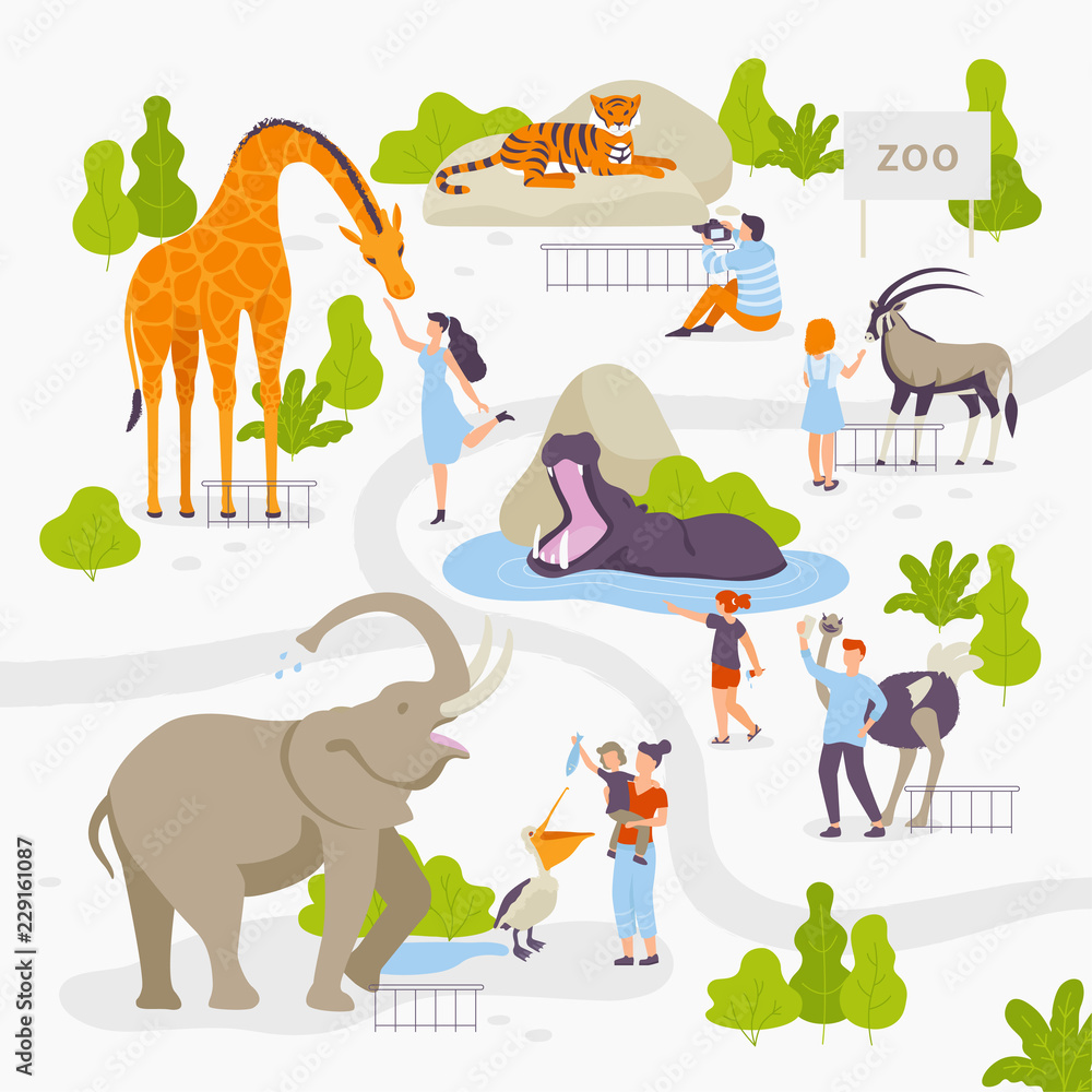 People love and look at wild animals in the zoo set of vector ...