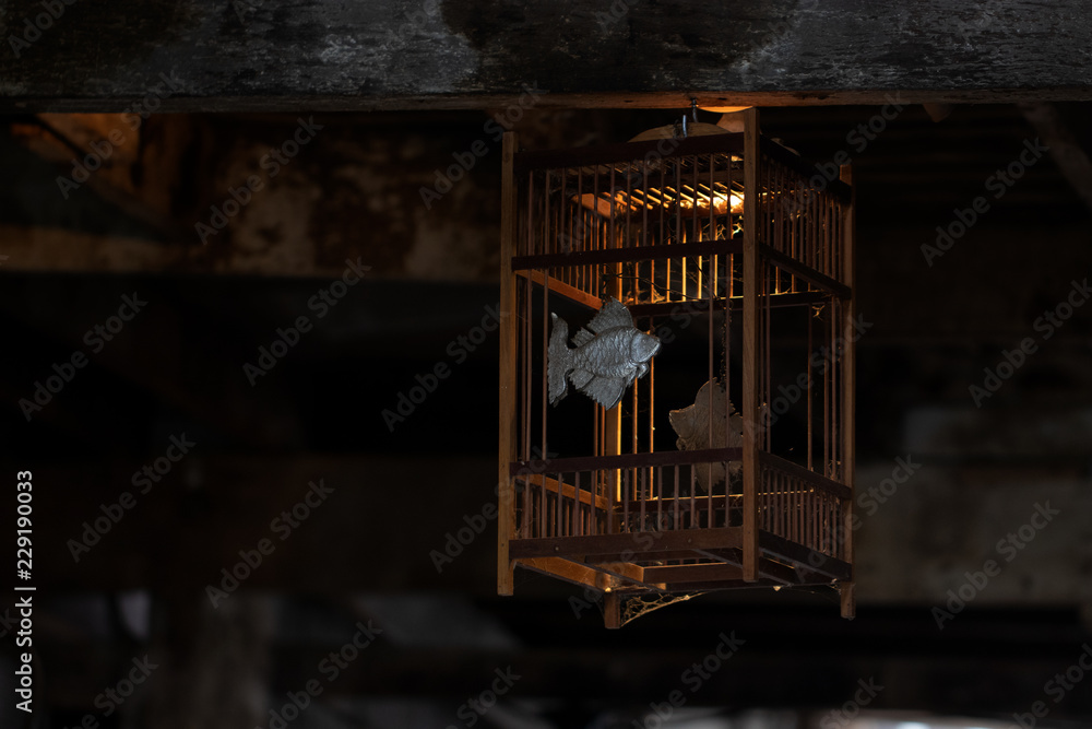 Bird cages are made of wood and carved on the inside. There is light to ...